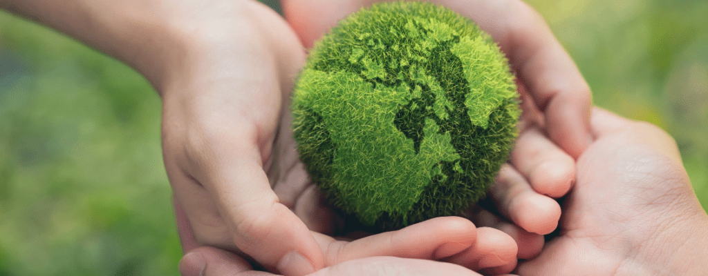 Sustainability - Transfor